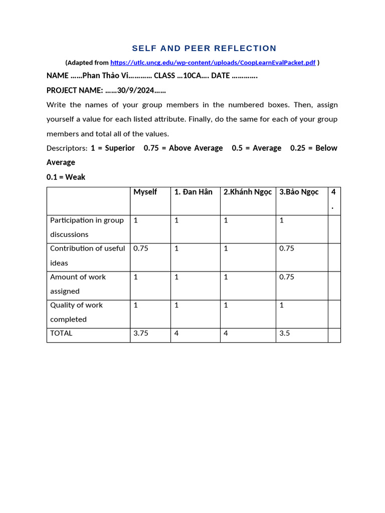 Self and Peer Reflection | PDF