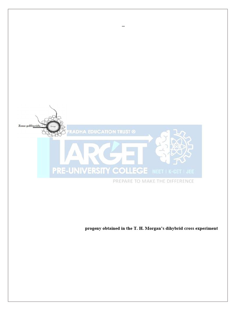 Model Paper-1 Key Answers (1) 2025 | PDF | Genetic Code | Dna Replication