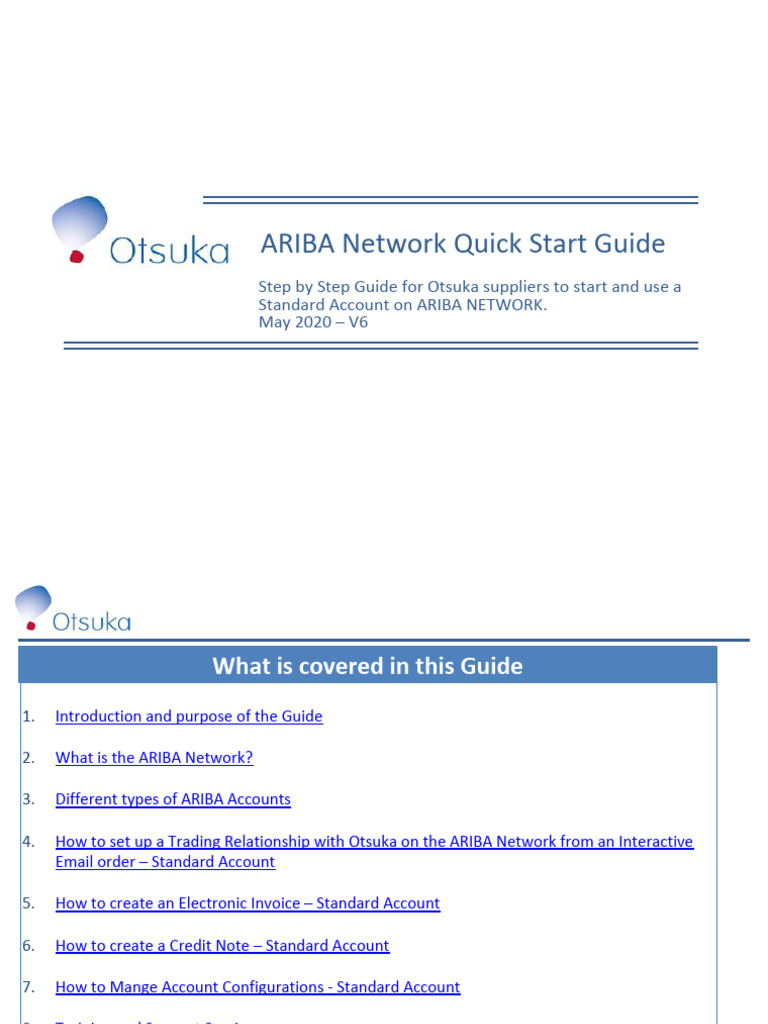 Otsuka ARIBA Network Setup Guide | PDF | Invoice | Accounts Payable