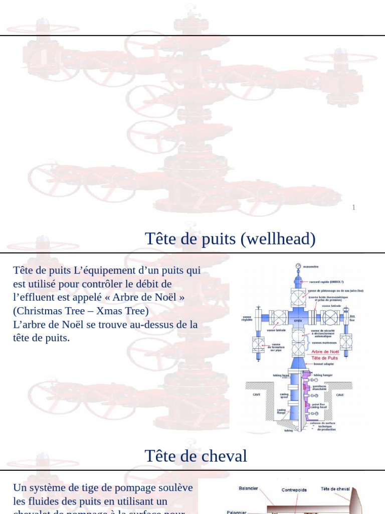 Wellhead presentation | PDF