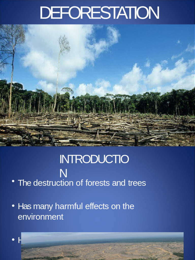 Unit - 3 - Deforestation | PDF | Deforestation | Rainforest