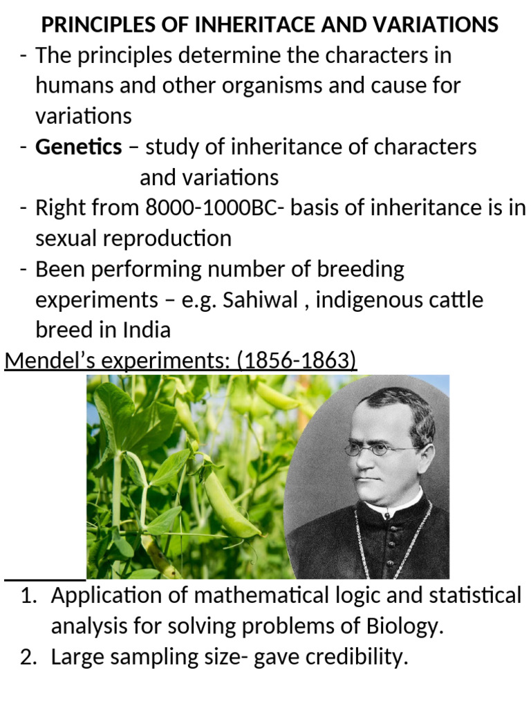 Principles of Inheritance and Variations | PDF | Dominance (Genetics ...