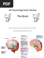 Brain Parts & Mnemonics Guide | PDF | Cerebral Hemisphere | Cerebral Cortex