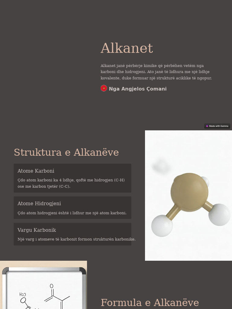 Alka Net | PDF