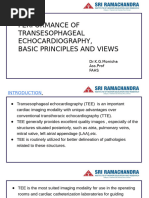 TTE TEE Report Template | PDF