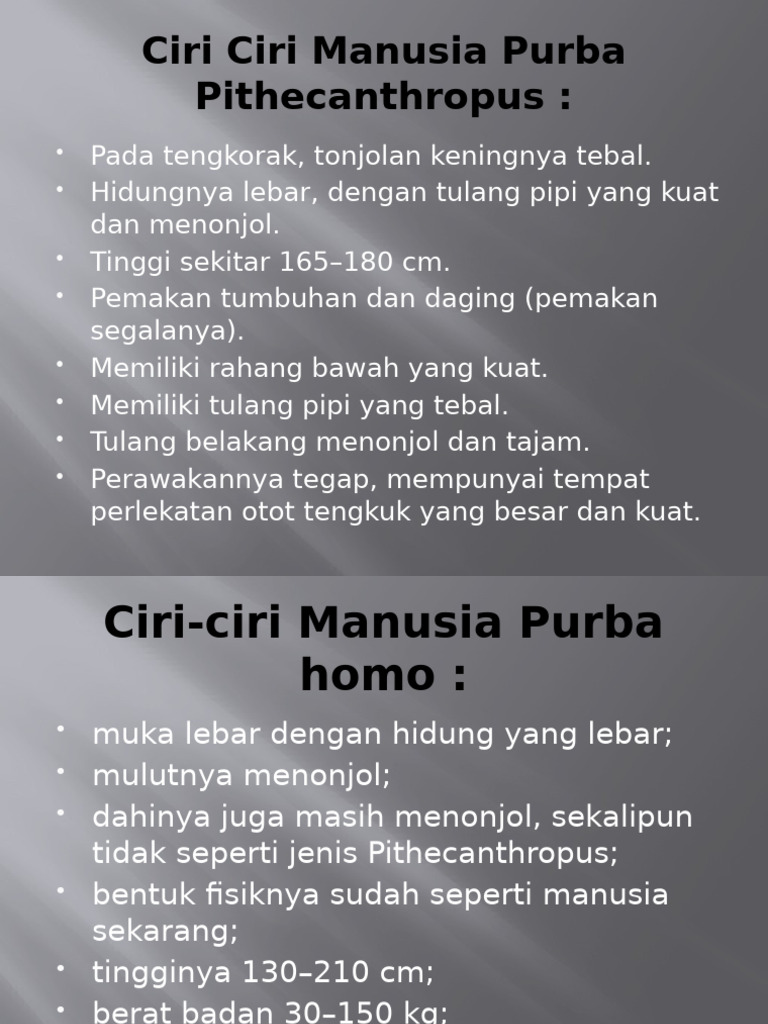 Ciri Ciri Manusia Purba Pithecanthropus | PDF