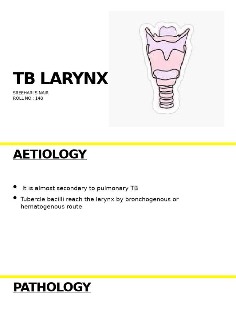 TB Larynx | PDF