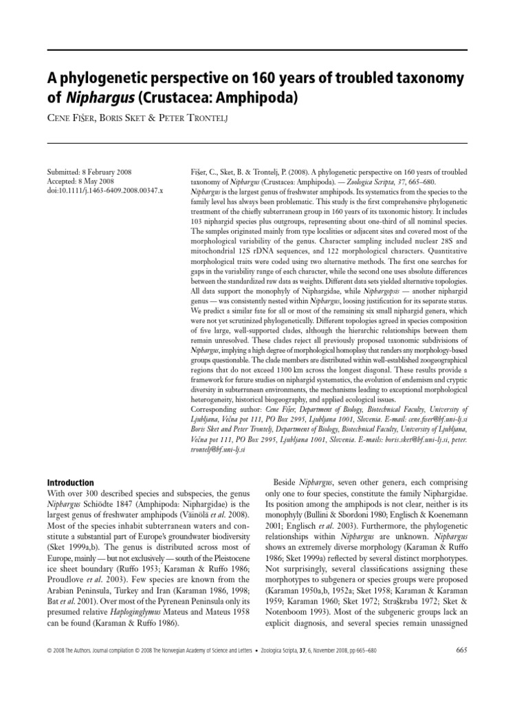 Niphargus Taxonomy Unveiled | PDF | Phylogenetic Tree | Biology