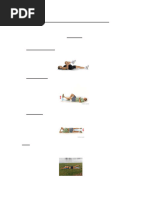 Printable Core Exercises For Seniors With Pictures | PDF