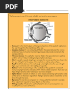Human Eye (Prashant Kirad) | PDF | Eye | Sunset