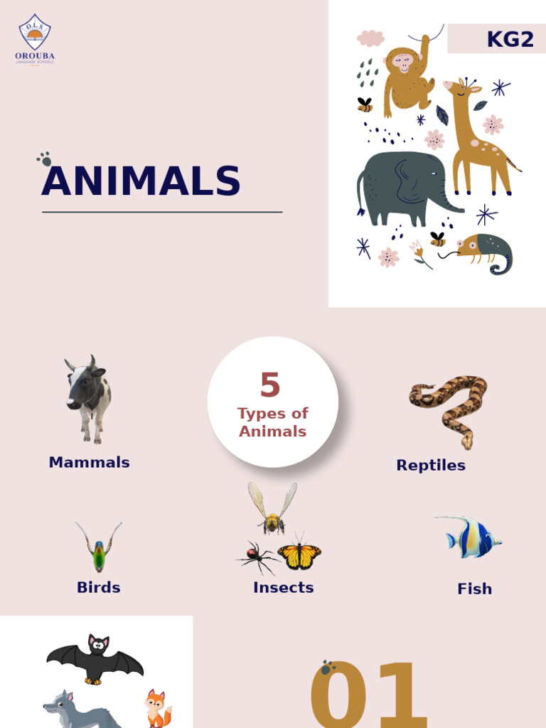 KG2 Animals Presentation | PDF
