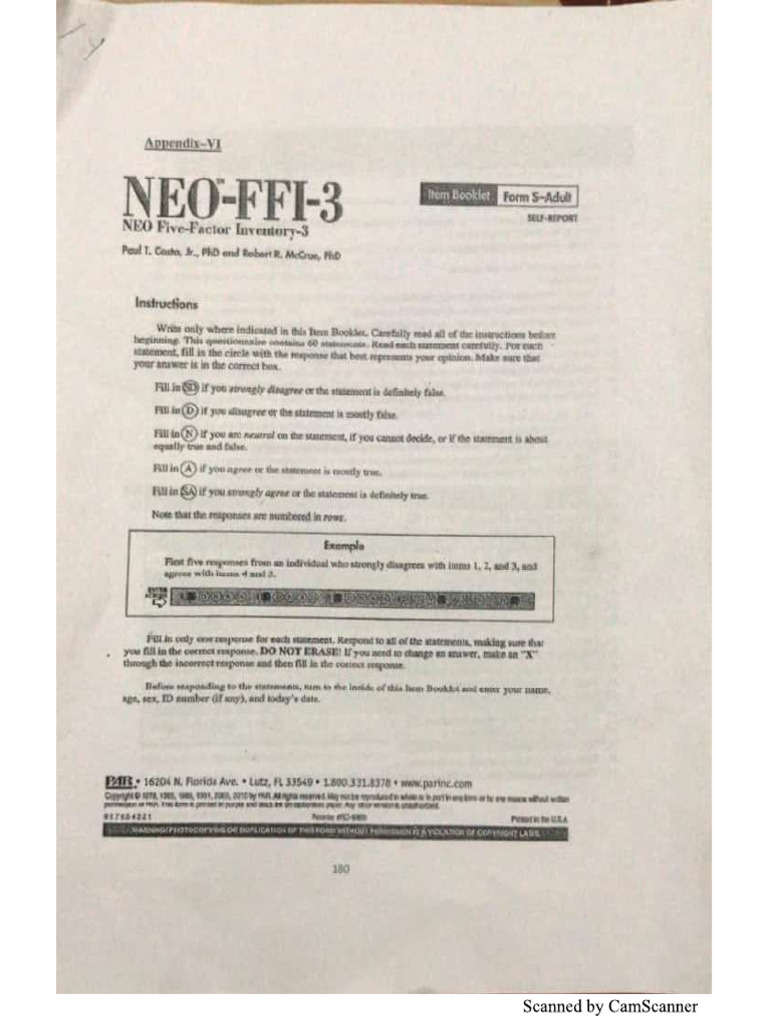 Reflecting Self NEO-FFI-3 Work Sheet Long | PDF
