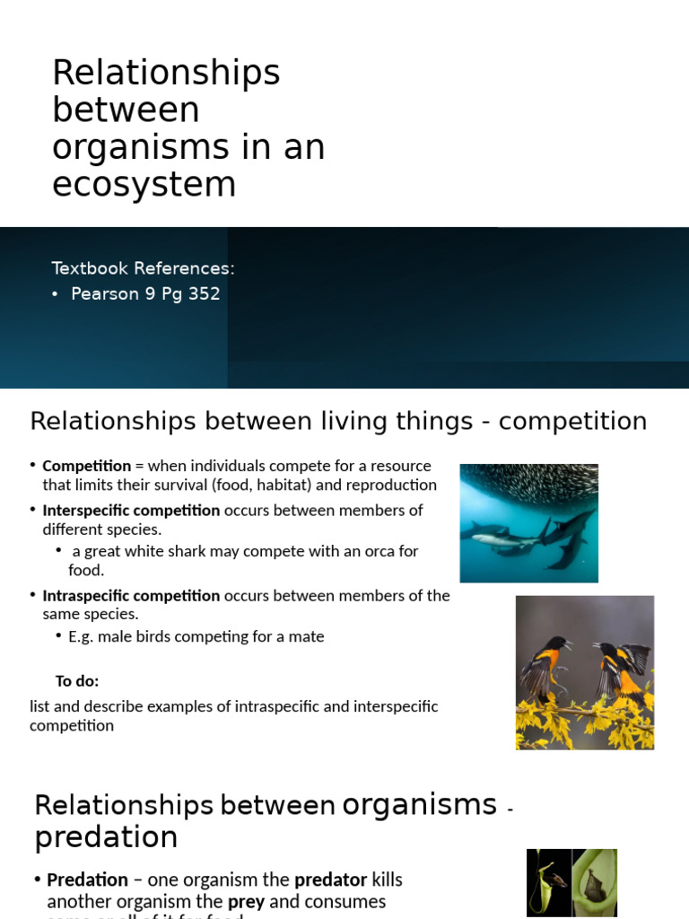 Relationships Between Organisms in An Ecosystem 2024 | PDF | Symbiosis ...