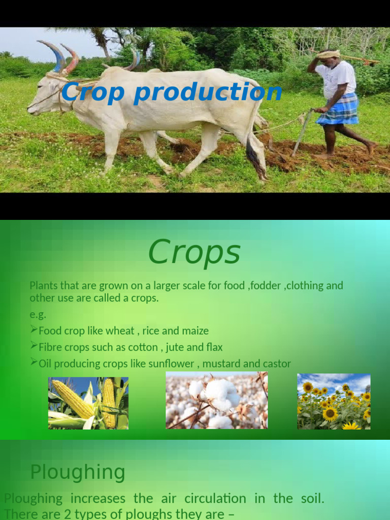 Crop Prodution Class 5 SST | PDF