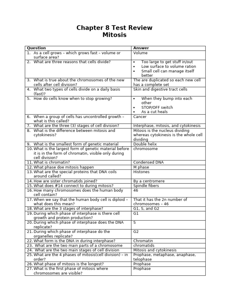Mitosis_Review 8 -ans | PDF | Mitosis | Chromosome