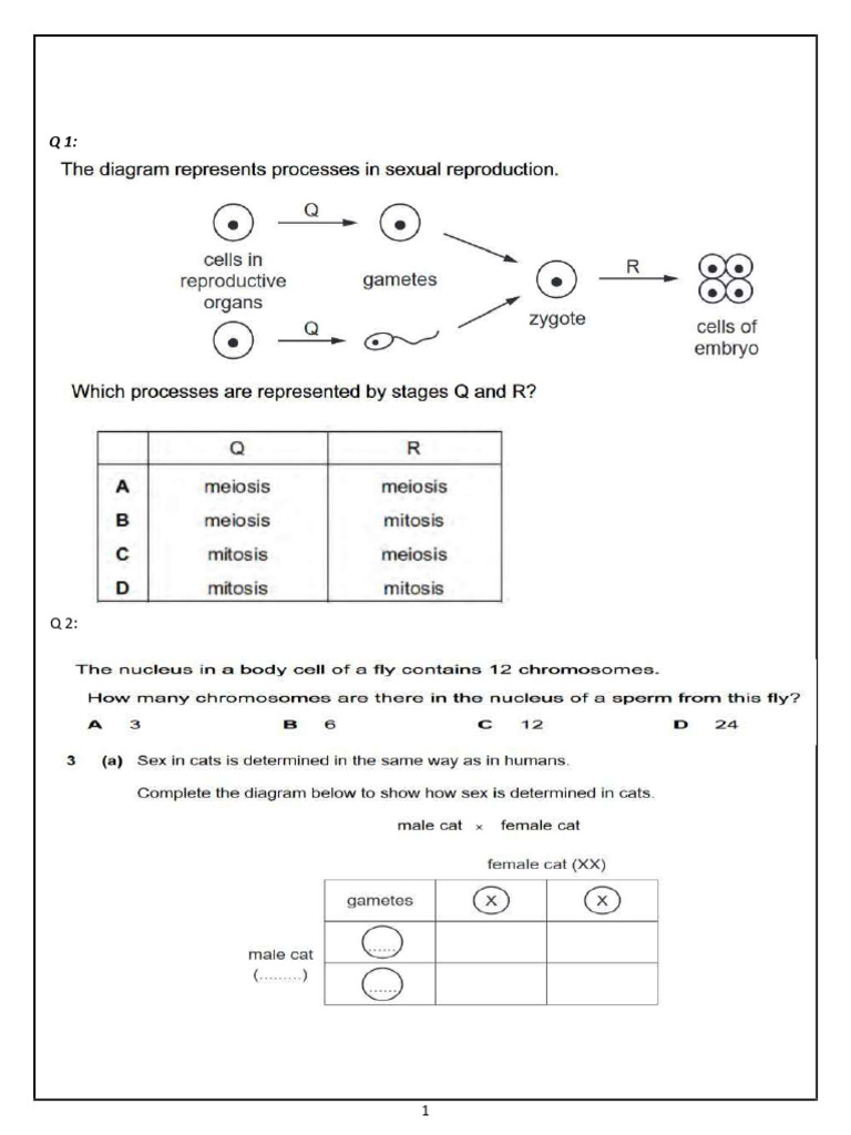 Year 9 Wsh About Peroidic Table And Bonds Pdf 9708