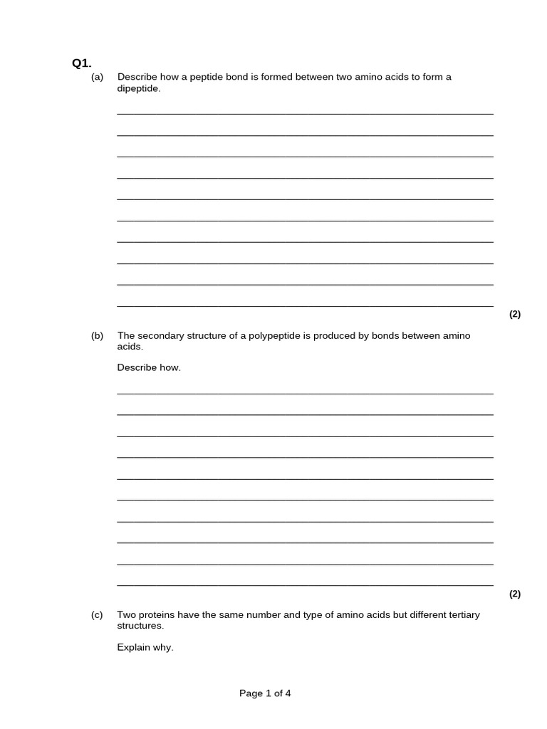 Protein structure Qs | PDF | Peptide | Proteins