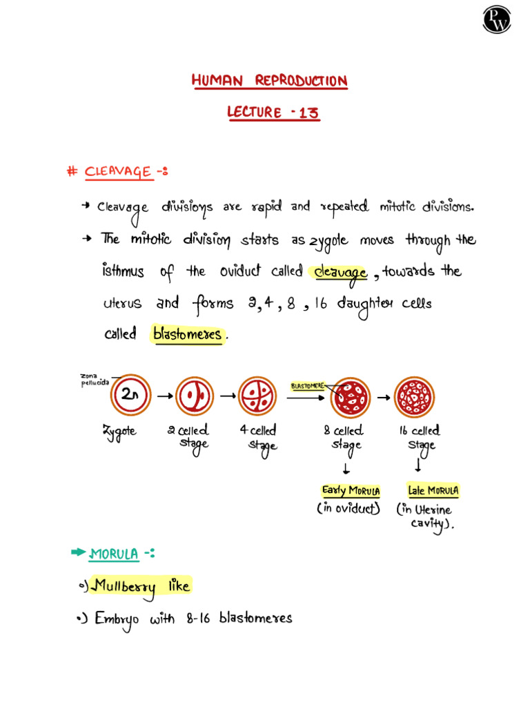 Chemistry pro book | PDF | Uterus | Reproduction