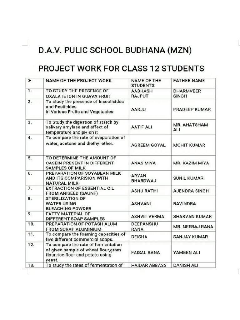 Project Work of Class 12 B Students | PDF