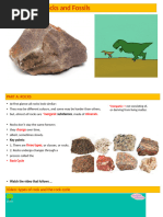 Rock Cycle Test Questions | PDF | Rock (Geology) | Sedimentary Rock