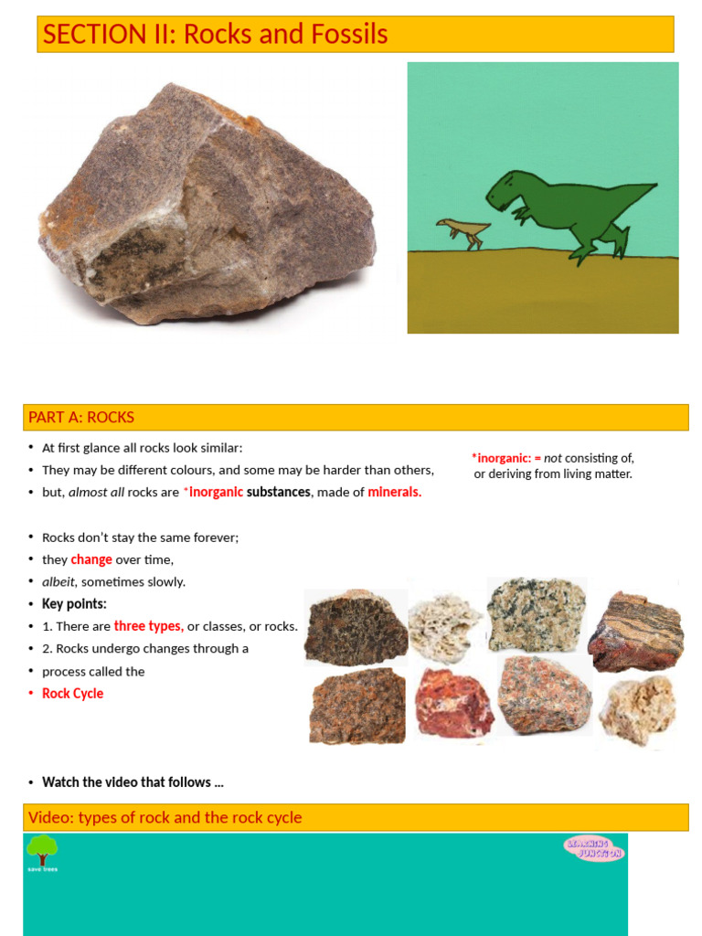 fossils | PDF | Rock (Geology) | Igneous Rock