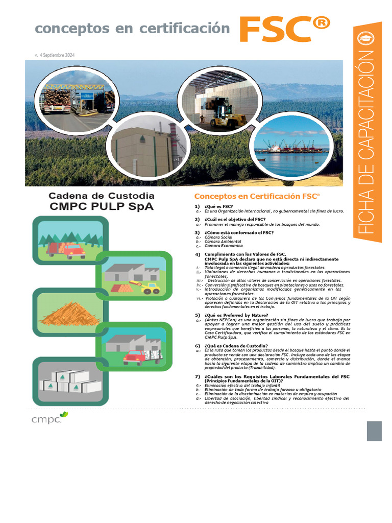 Ficha Conceptos COC FSC Pulp 2024 | PDF | Consejo de Administración Forestal | Los bosques