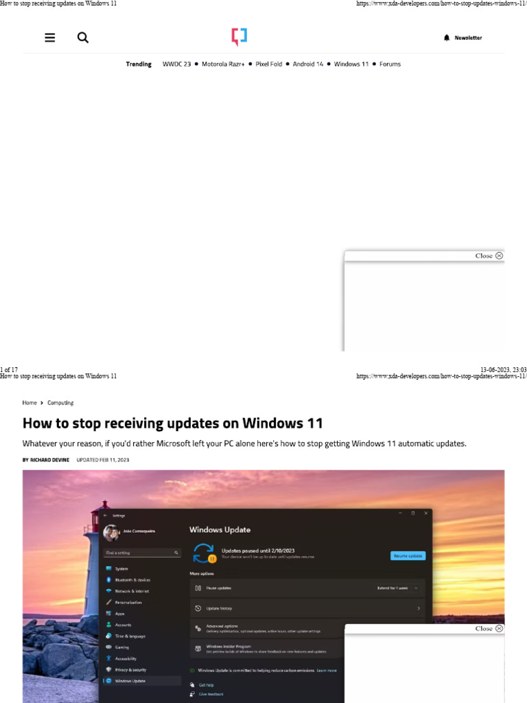 Stop Windows 11 Updates Guide | PDF | Microsoft Windows | Software