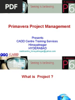 Primavera P6 Tutorial - Step by Step Guide For Beginners (Updated ...