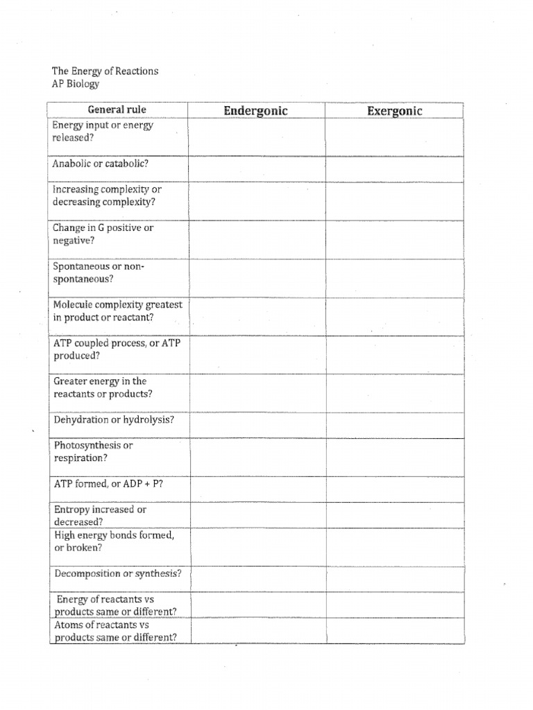 Gibbs Energy Worksheet | PDF