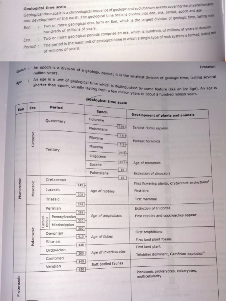 Time Scale | PDF