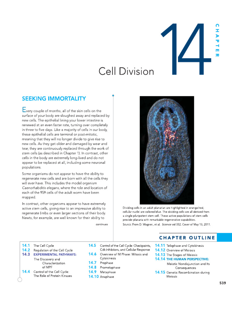Reading Activity #9 | PDF