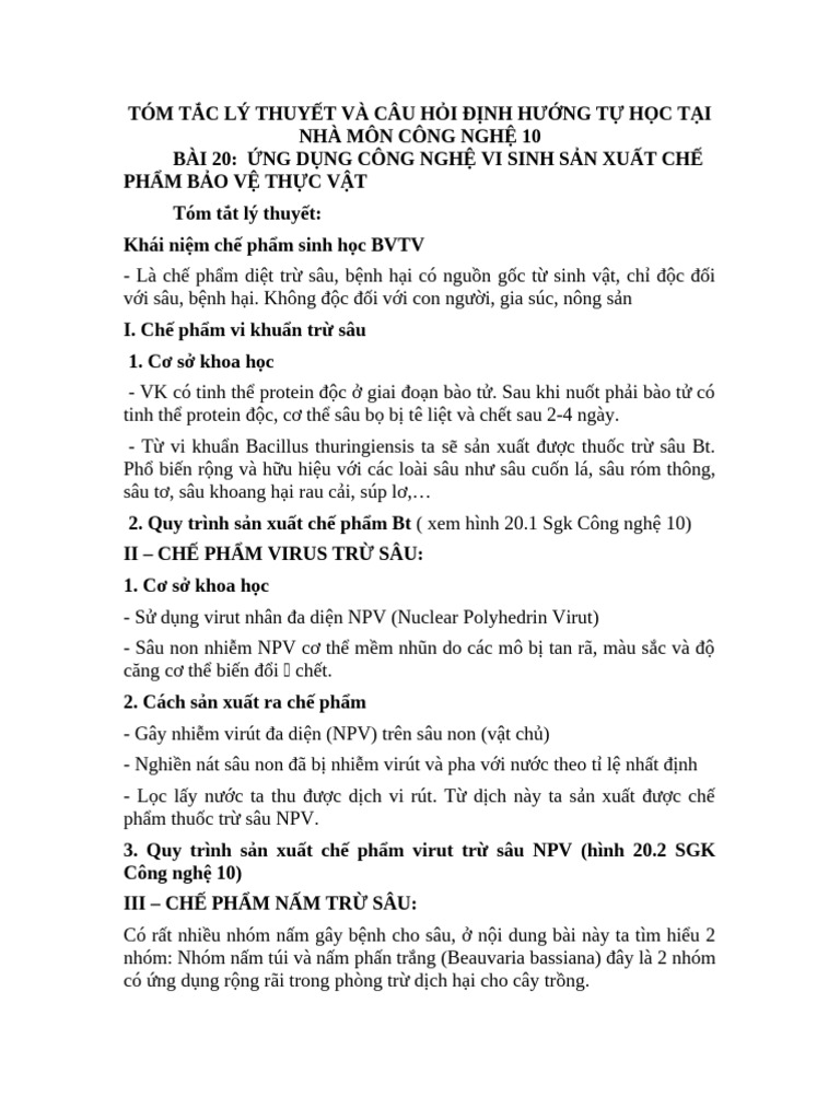 10bai Tap Tu Hoc CNNN 10 | PDF