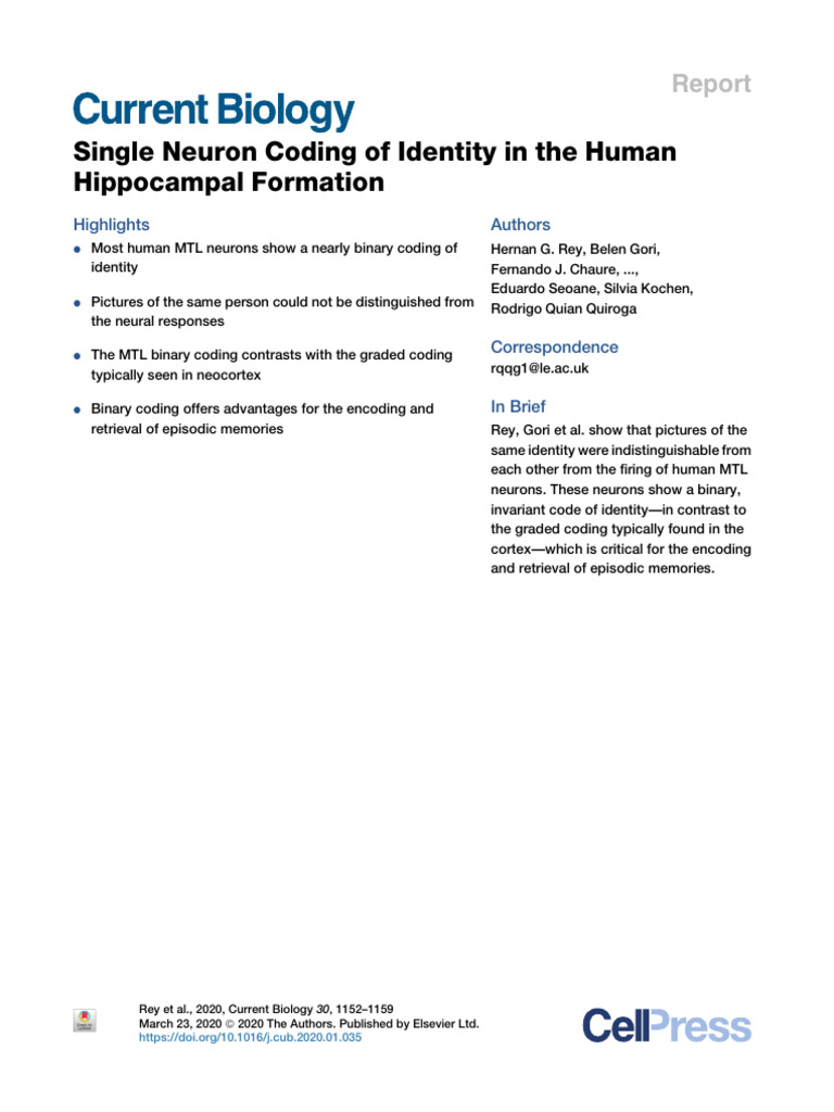 Rev - Ref - Single Neuron Coding of Identity in The Human | PDF ...
