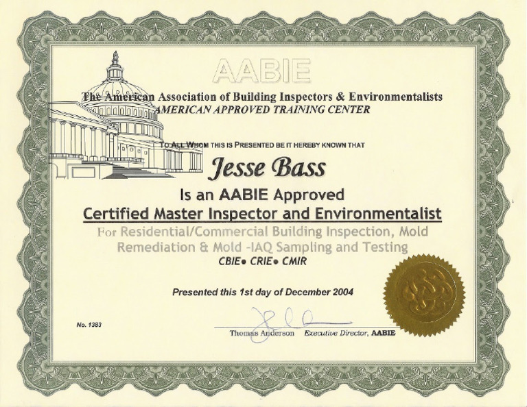 Master Inspector Cert | PDF