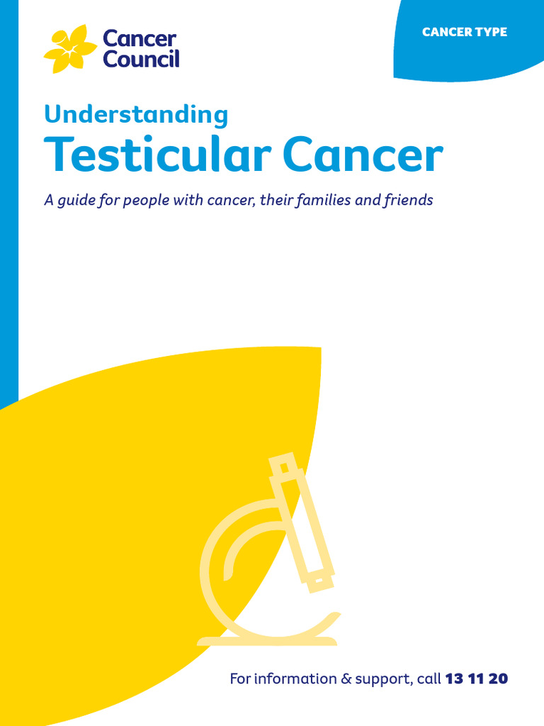 understanding-testicular-cancer-booklet | PDF | Testicle | Prostate