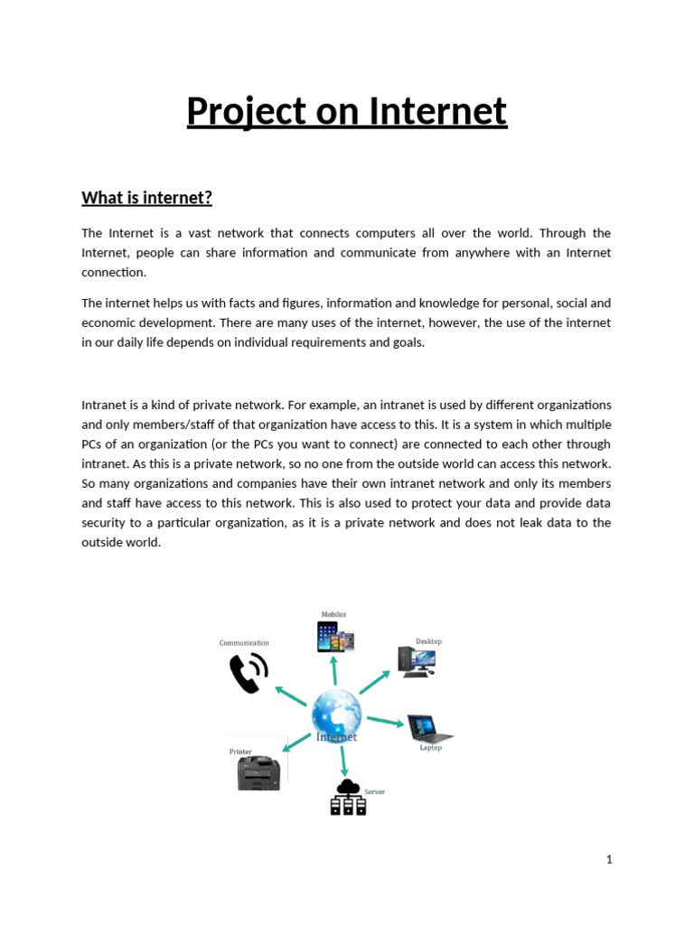 Project Internet - Reena Roll No. 69, Section B | PDF | Digital Subscriber Line | World Wide Web