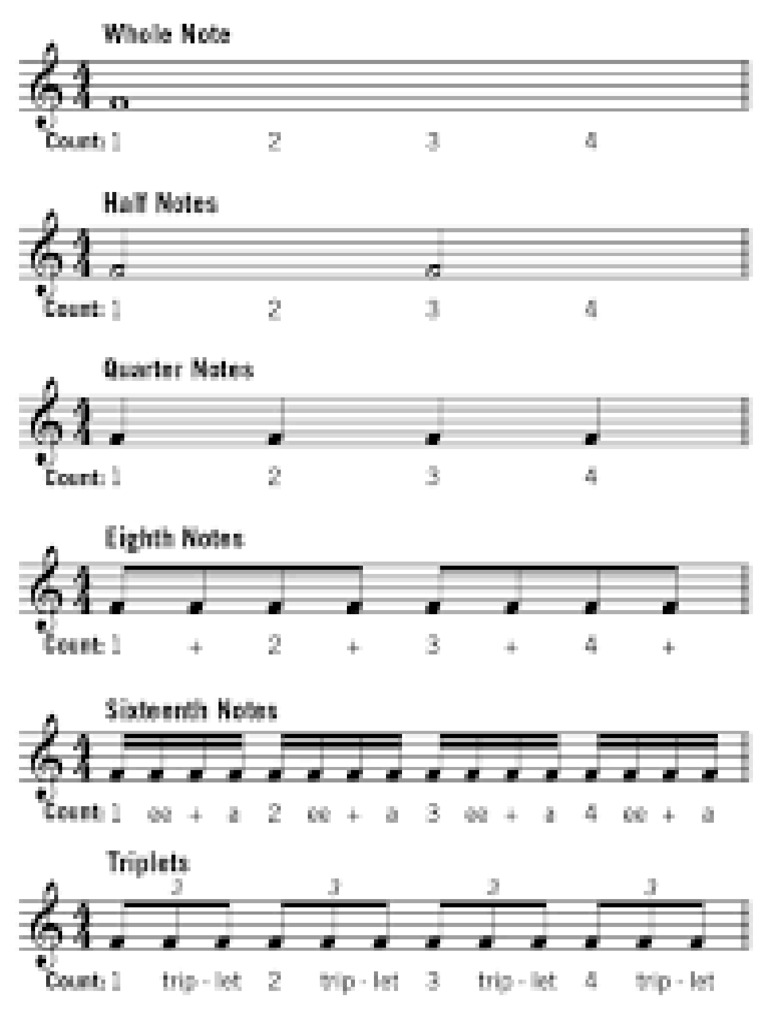 Types of Musical Notes | PDF