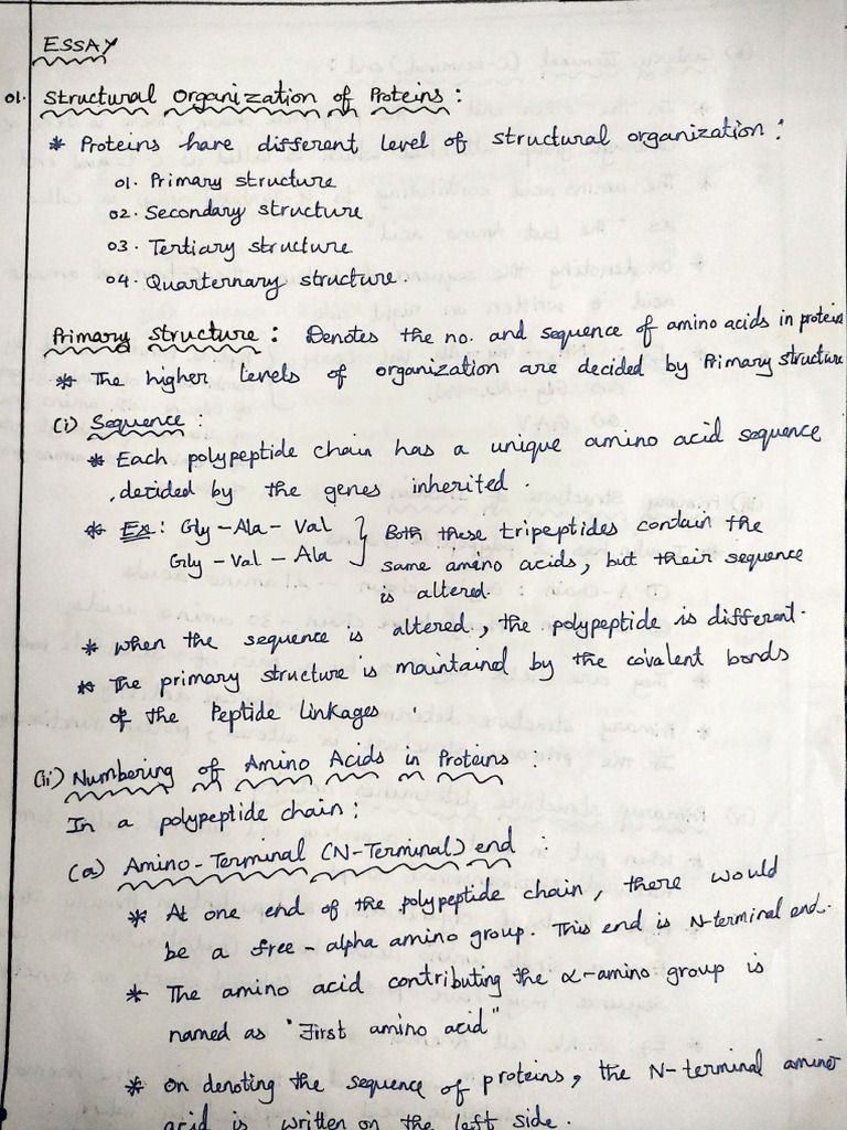 Biochemistry Assignment | PDF | Chemistry | Molecular Biology