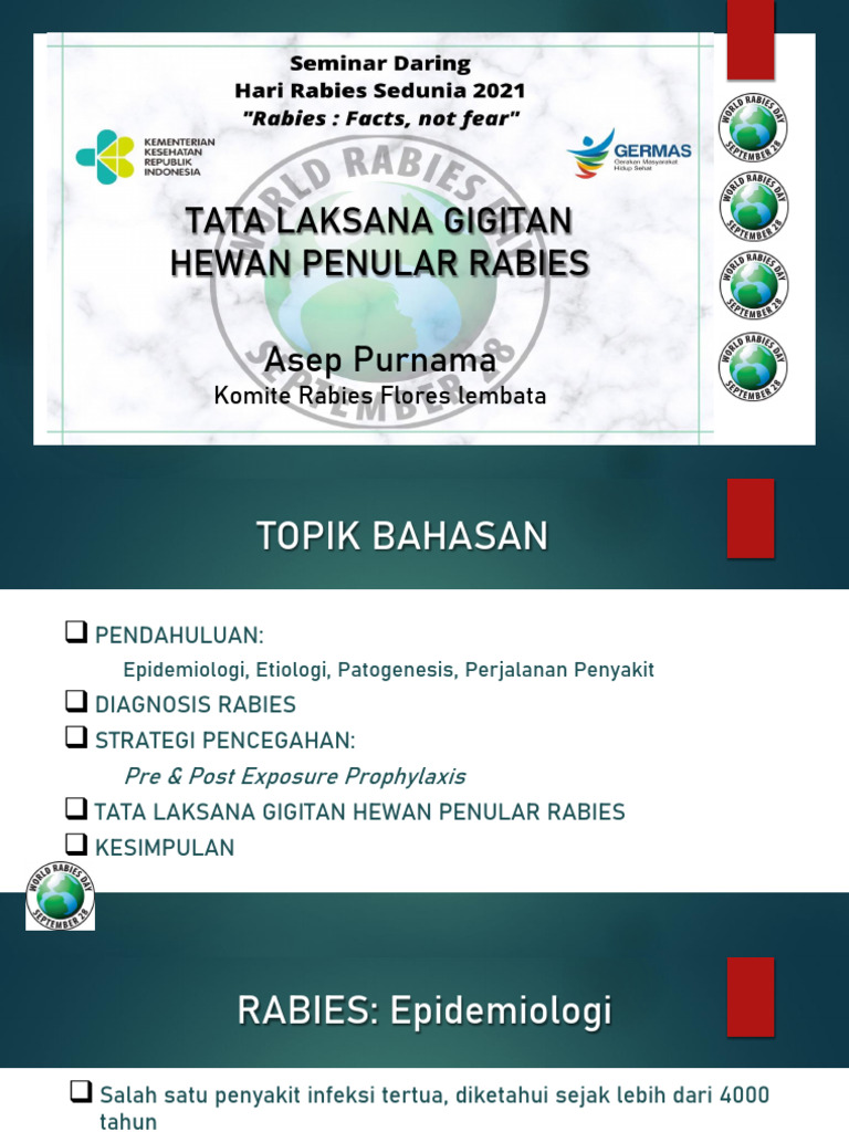 Rabies WRD 2021 | PDF