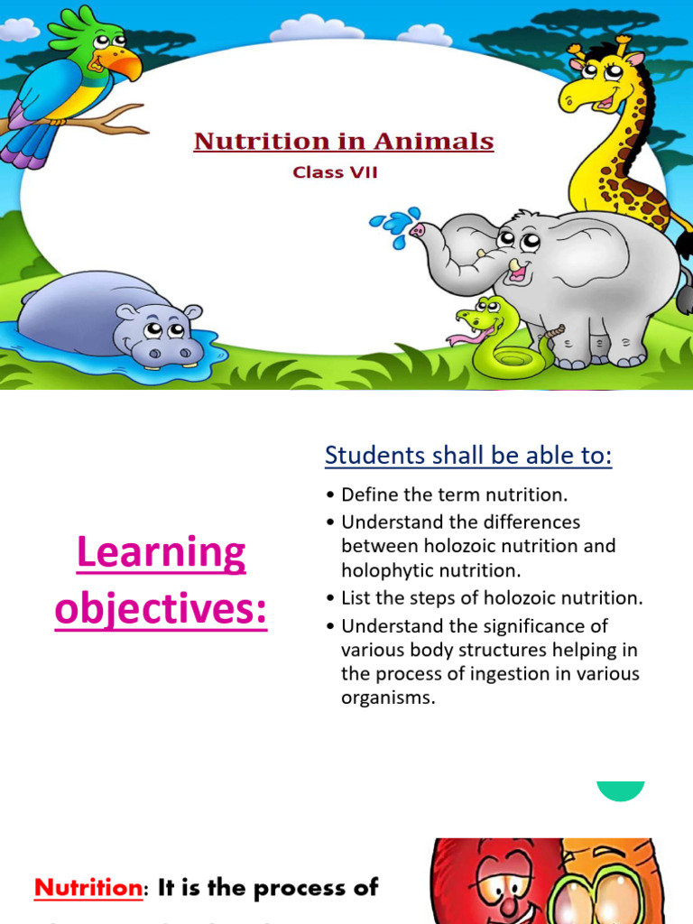 Nutrition in Animals 1 | PDF | Foods | Nutrition