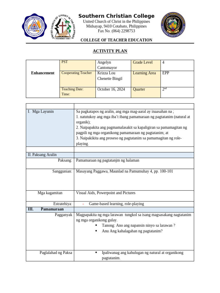 Activity Plan - Epp | PDF