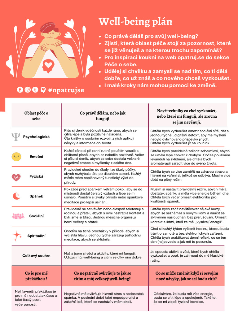 Well-Being Plán | PDF