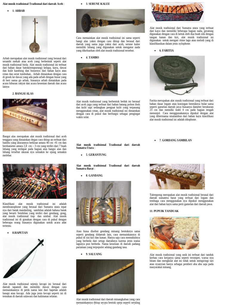 Alat Musik Tradisional Aceh dan Sumatra | PDF