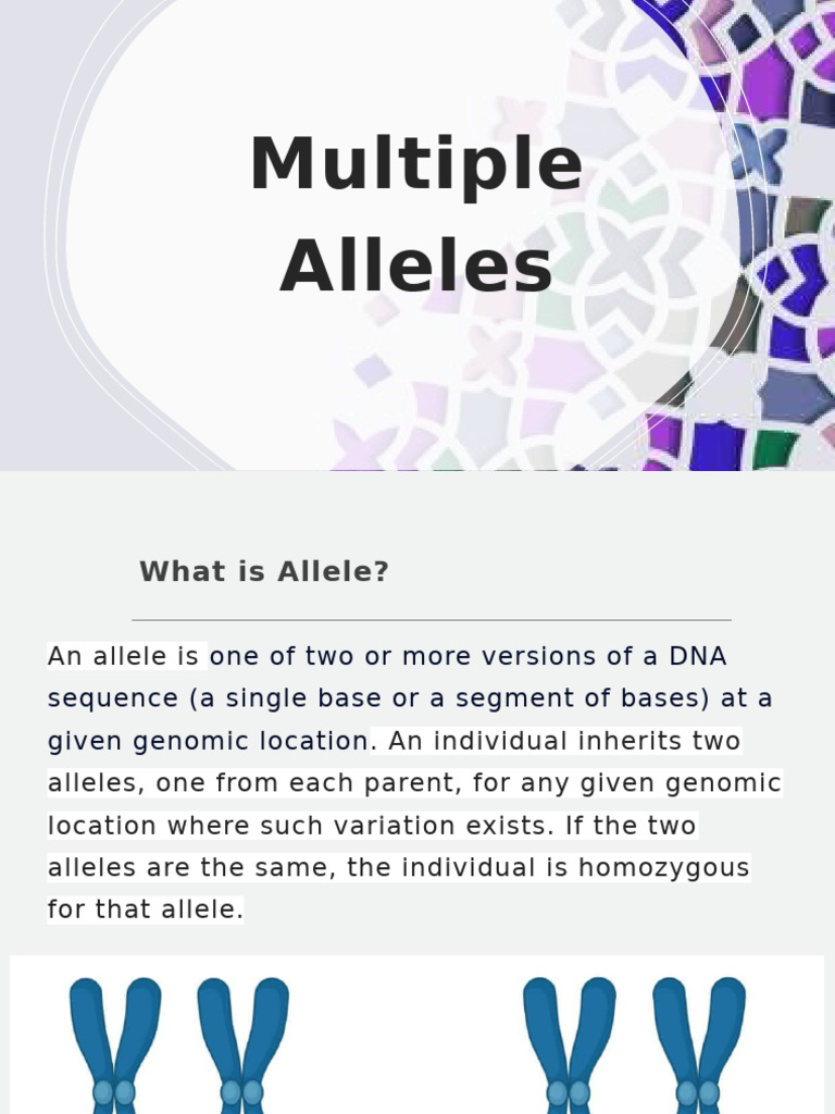 Multiple Alleles | PDF