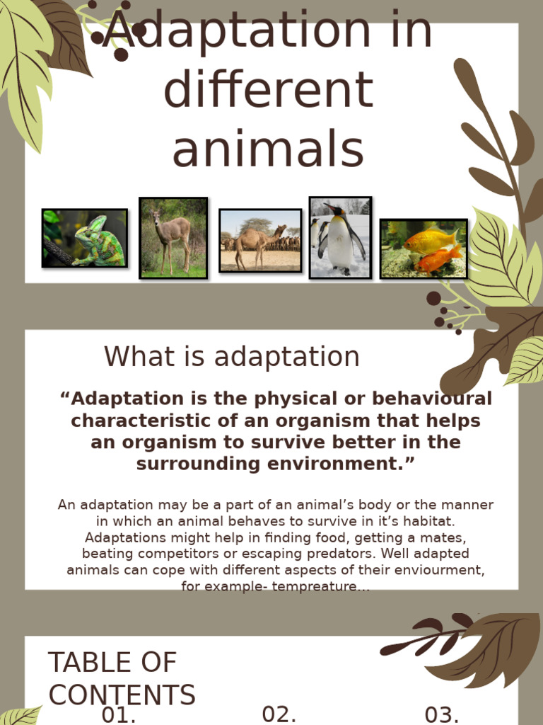 Adaptation PPT Holiday Homwork | PDF | Adaptation | Fur