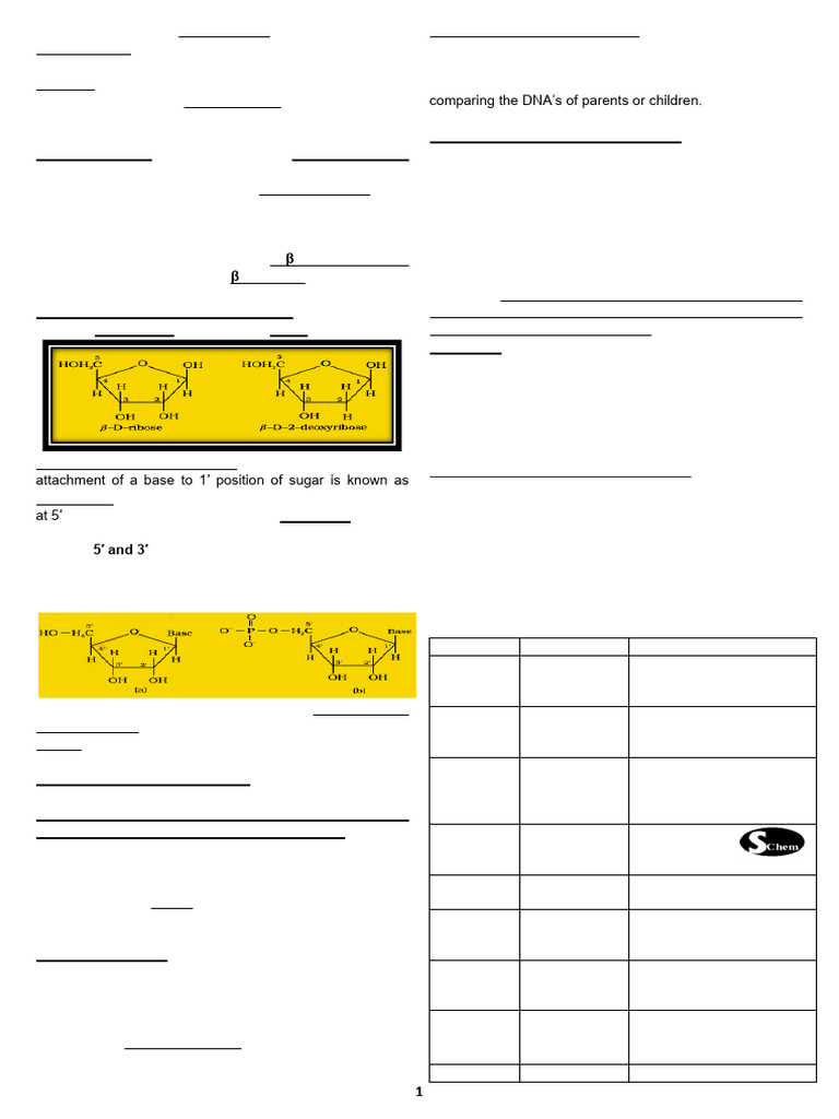 Biomolecules Class 12th Note - Cbse Board and Neet | PDF ...