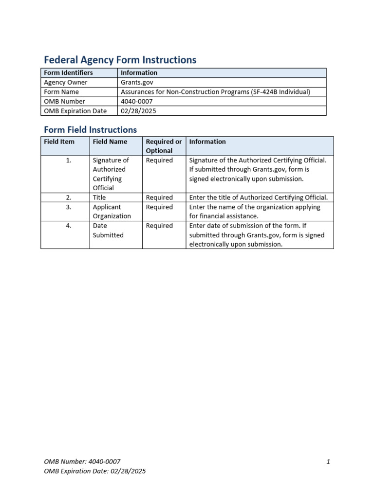 Individual - SF424B V1.1 Instructions | PDF
