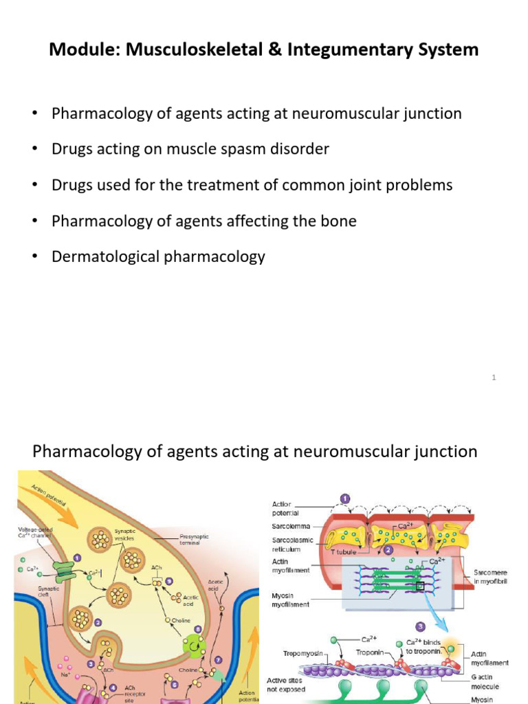 Musculoskeletal Module - Pharmacology, 2023 | PDF | Nonsteroidal Anti ...