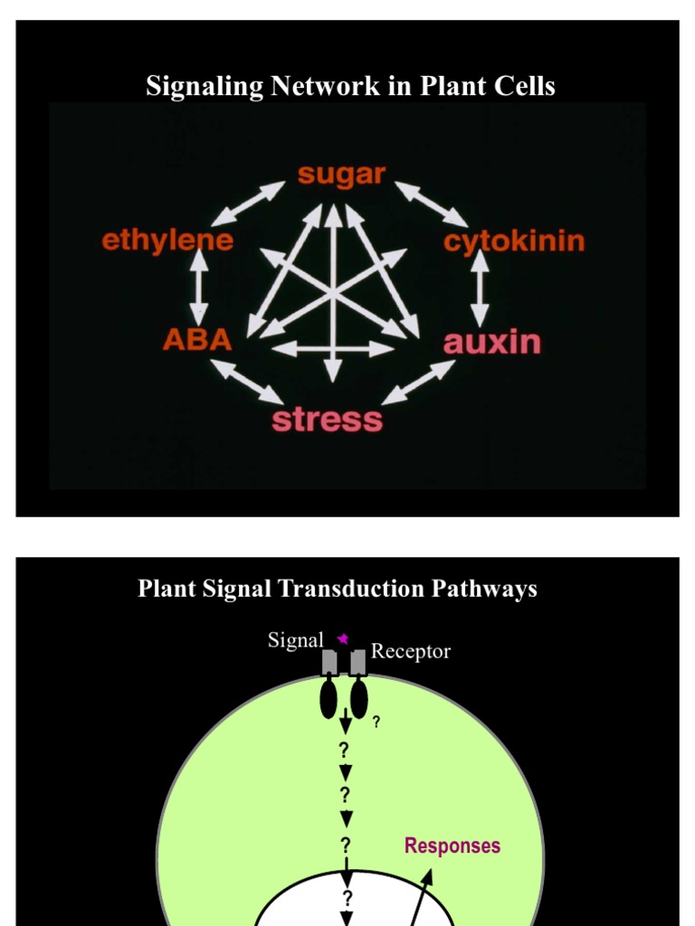 Plant Signaling