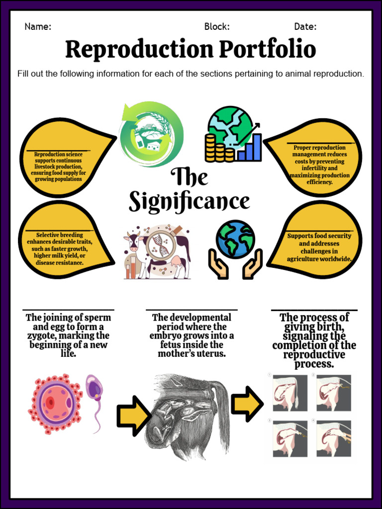 Ag 2 Animal Reproduction Portfolio PREFILLED FORM | PDF | Human ...